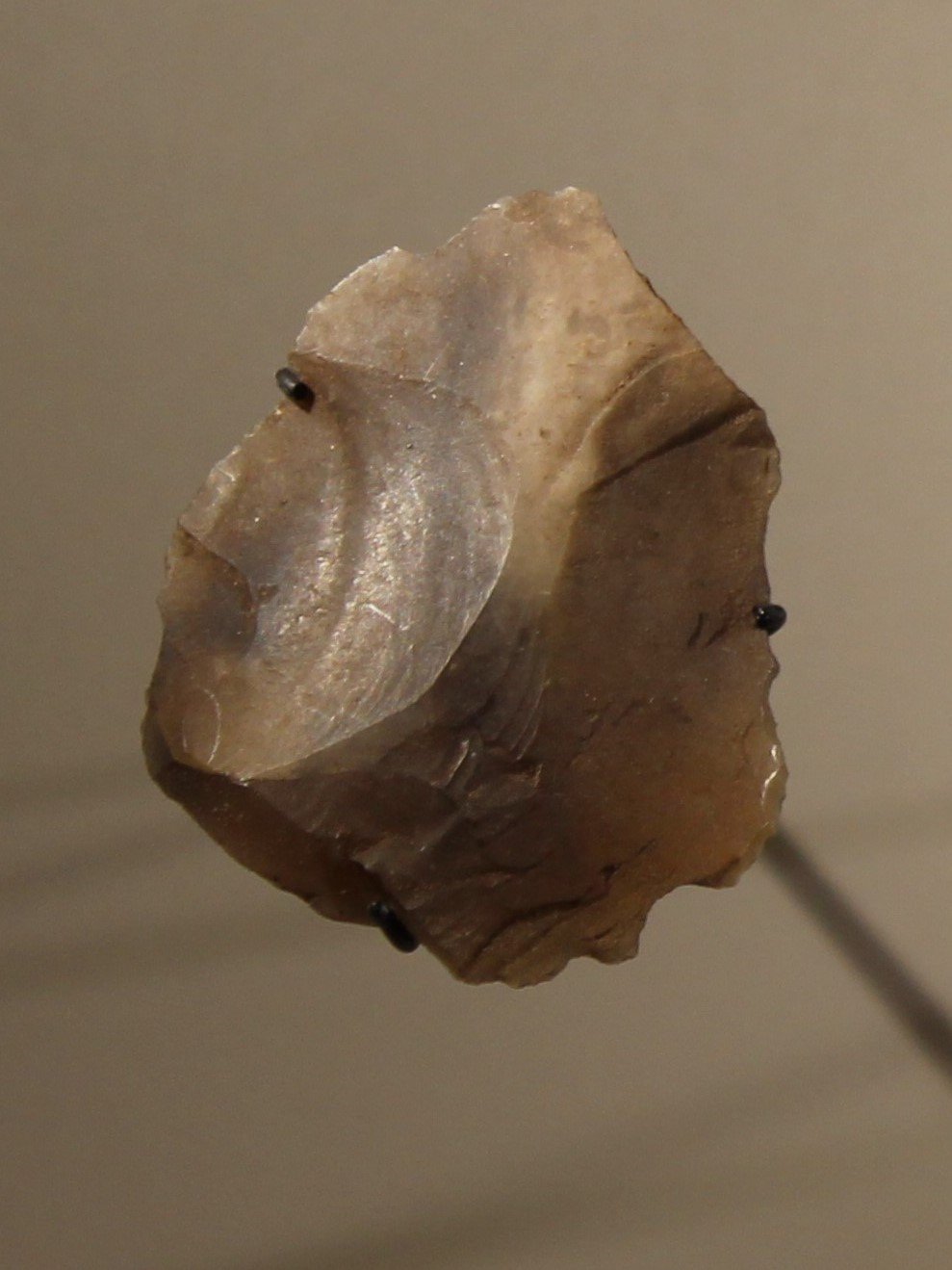 Kratzer :: Karrasburg Museum Coswig :: museum-digital:sachsen