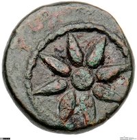 Uranopolis :: Archäologisches Museum der Universität Münster :: museum ...